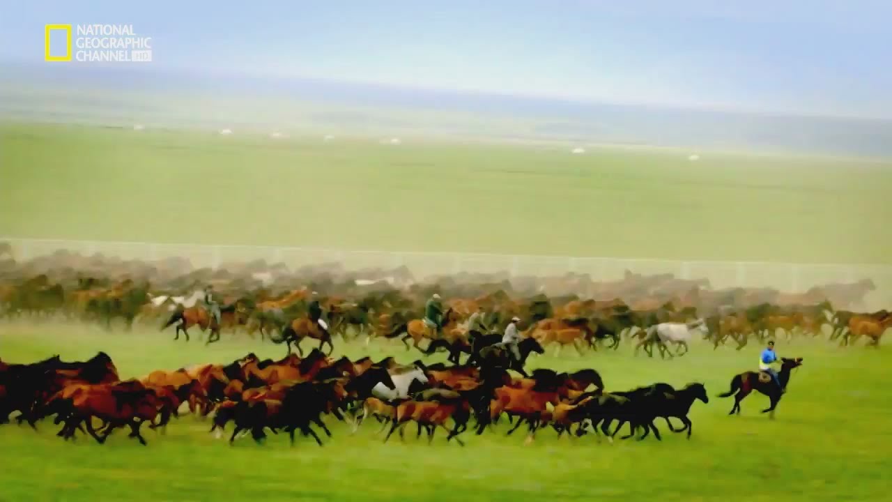 Kazak Horse Farm, Xinjiang 昭蘇哈薩克馬場 - YouTube