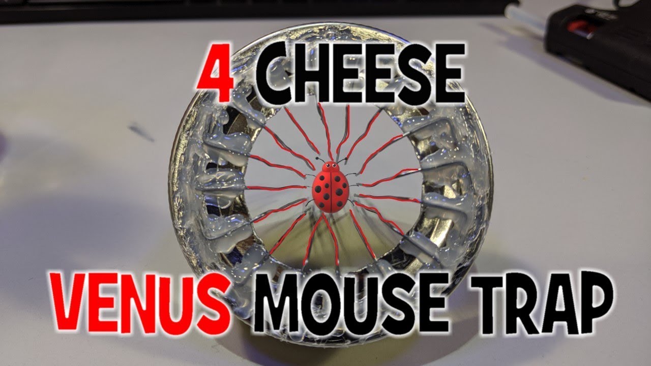 Easy DIY Multi-catch Mouse Trap: The Venus Mouse Trap - YouTube