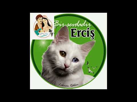 Erciş'in üstü bağlar  Ayhan Aldeşer   =BİR SEVDADIR ERCİŞ=