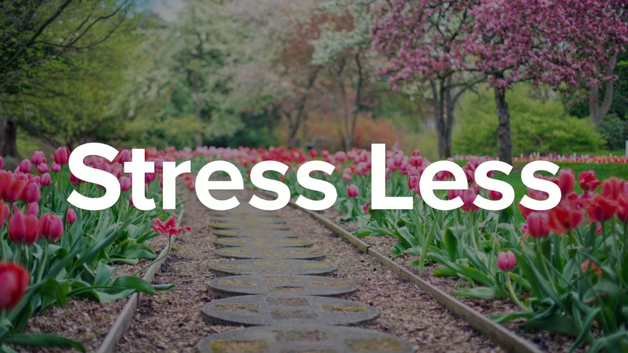 Learn to Stress less - YouTube