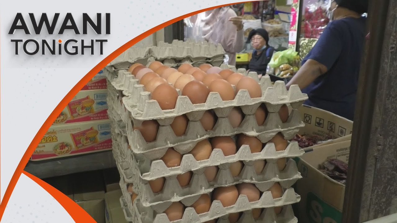 AWANI Tonight: Chicken eggs are now cheaper nationwide - YouTube