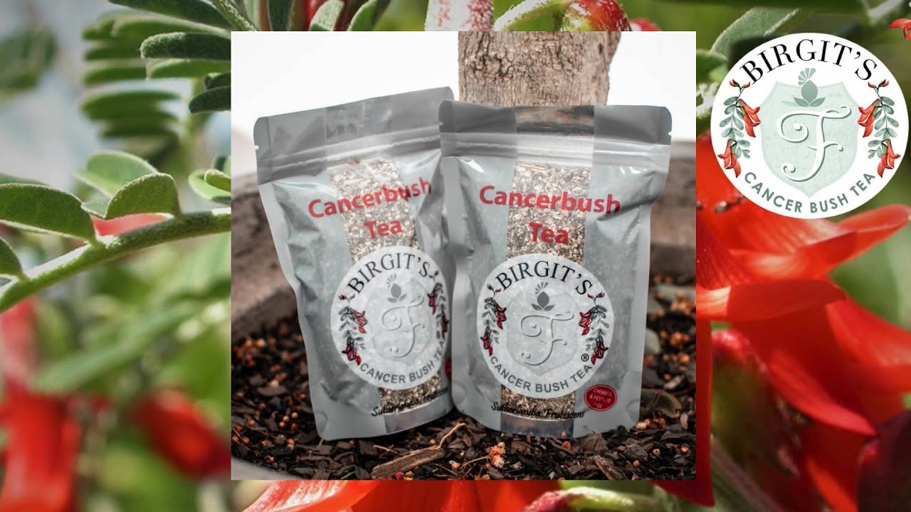 BIRGIT'S Cancer Bush Tea (Sutherlandia Frutescens) | Herbal Tea | A ...