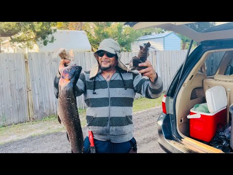 HASSA AND MULLET FISHING DAY # FLORIDA HASSA CATCHING - YouTube