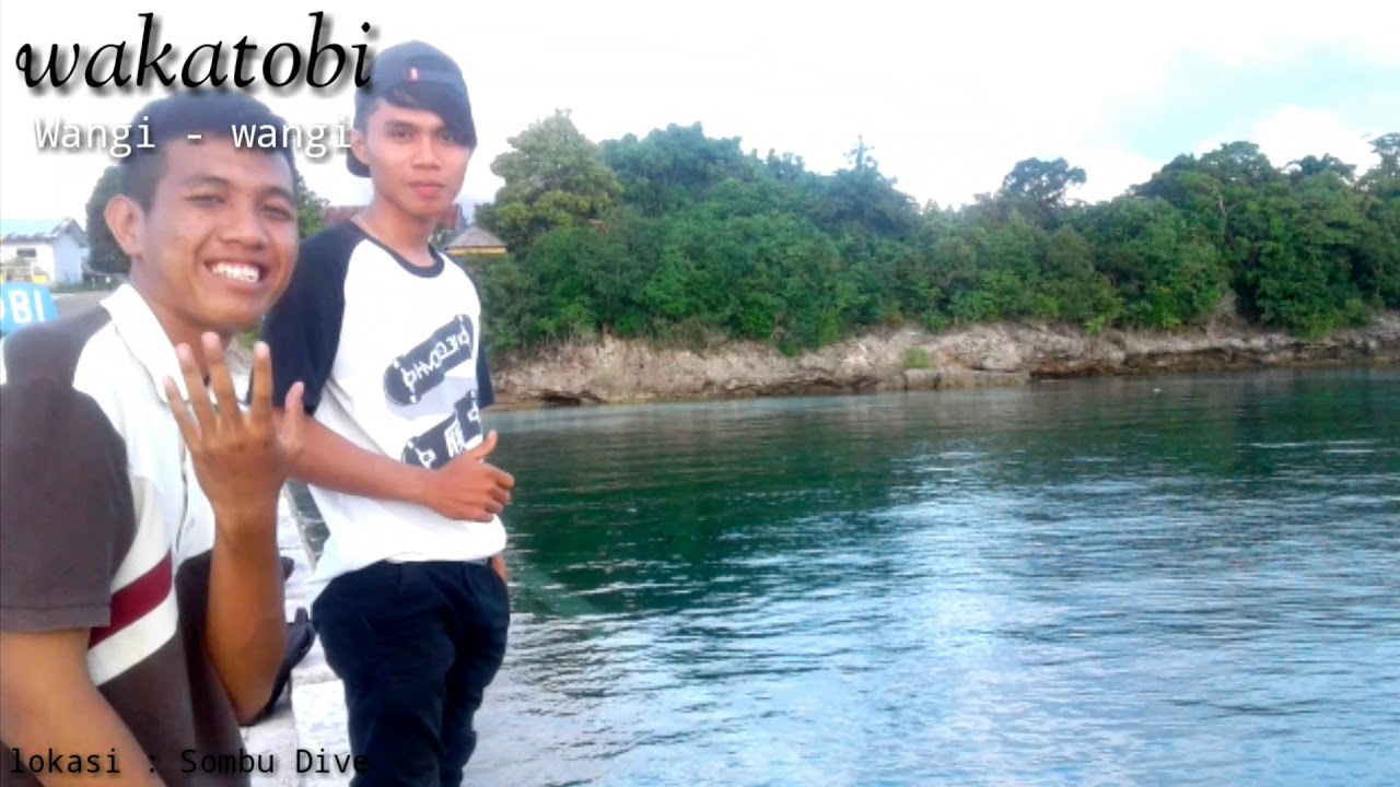 DESTINASI WISATA DI WAKATOBI__SOMBU DIVE - YouTube