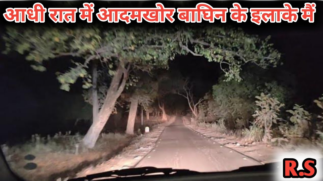Maneater Tiger Territory Night Drive | Mohan Maneater Tiger Territory ...