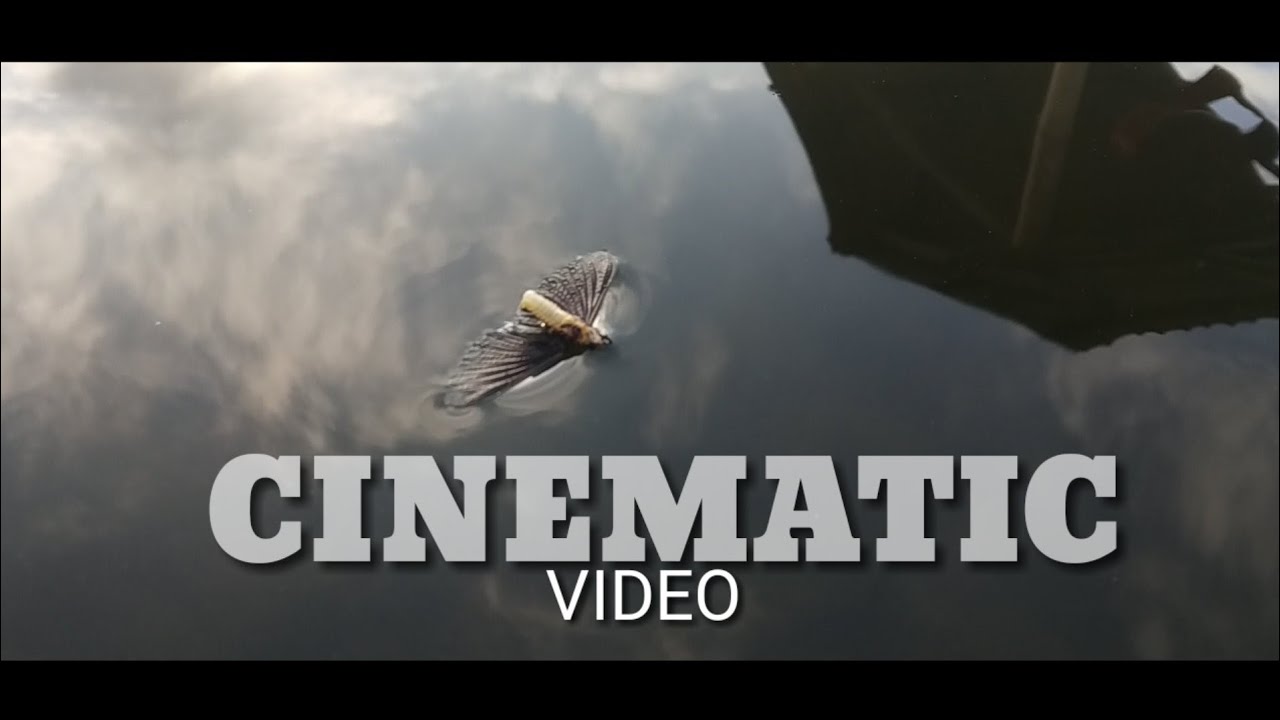 CINEMATIC - YouTube