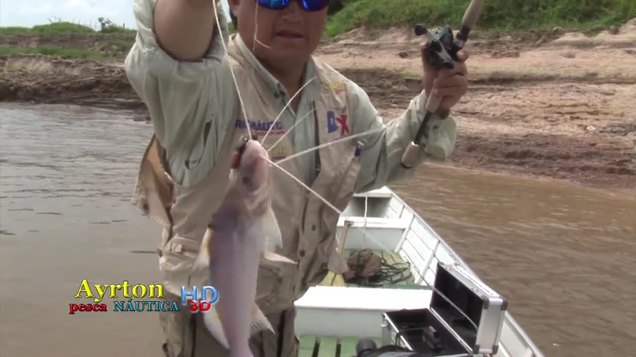 AYRTON PESCA, FISH TV, AMAZONIA, RIO AMAZONAS, PESCA PEIXE PIRAMUTABA E ...