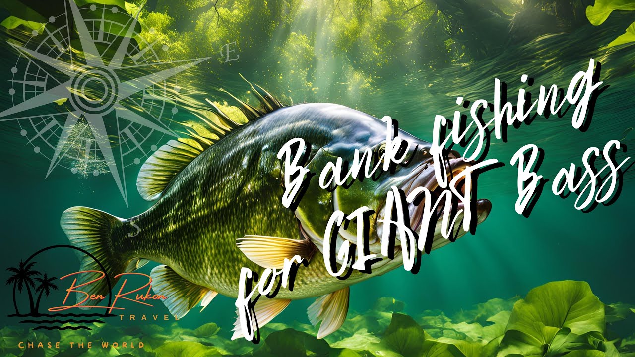 Bank fishing for GIANT bass in Zimbabwe - YouTube