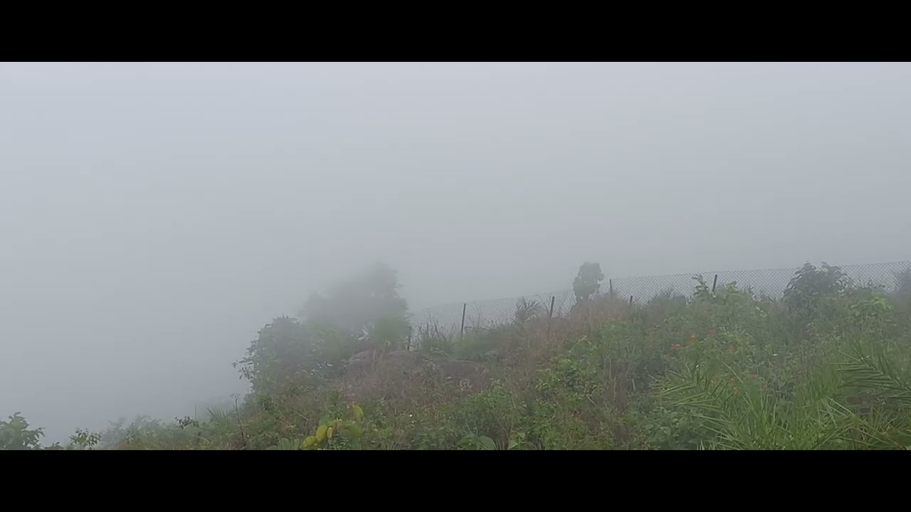 Dallapalli climate on 8/6/2024 near paderu - YouTube