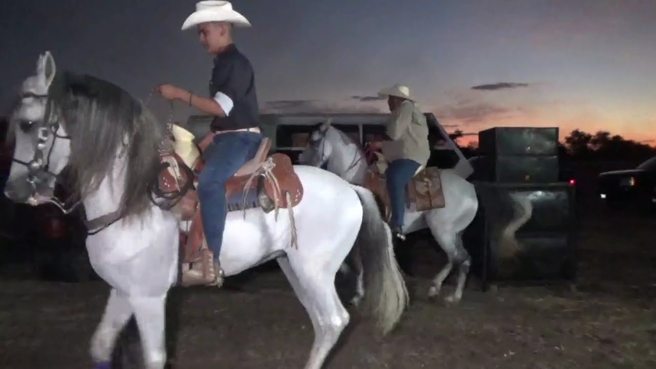 miren nomas q bonito bailan los Caballos ala festejada, acá en La ...