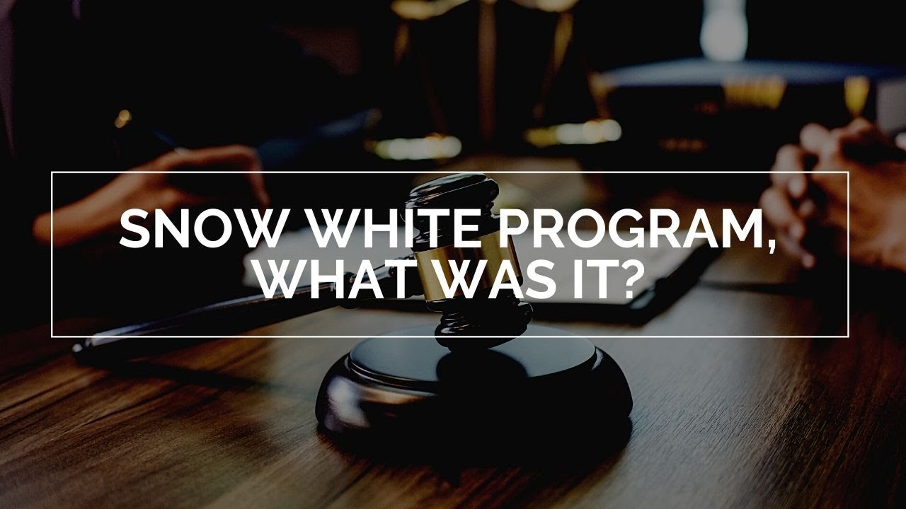Snow White Program Explained - Marty Rathbun - YouTube