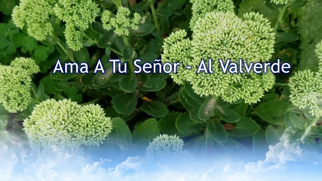 Ama A Tu Señor - Al Valverde - YouTube