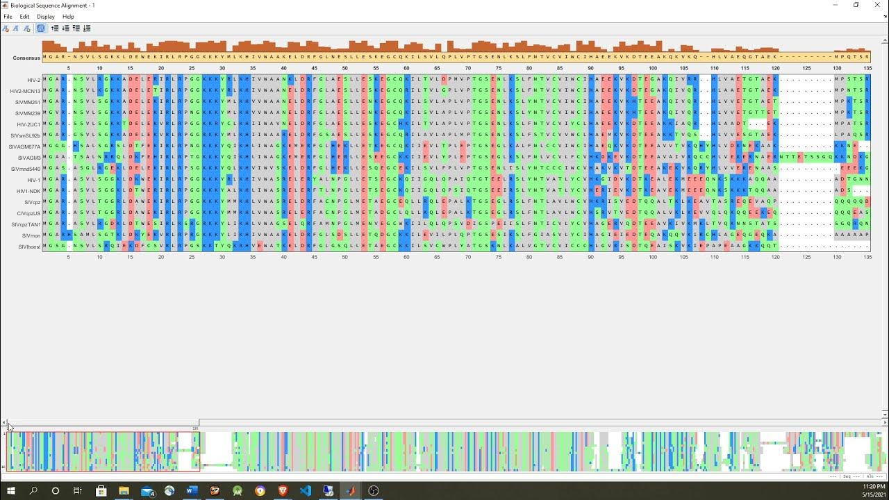 View and Align Multiple Sequences MATLAB Bioinformatics example walkthrough - YouTube