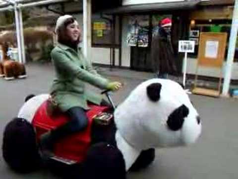 giant panda ride japan - YouTube