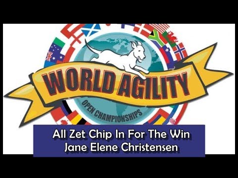 Chip : World Agility Open 2017 - YouTube