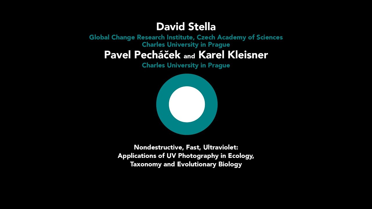 David Stella, Pavel Pecháček and Karel Kleisner - YouTube