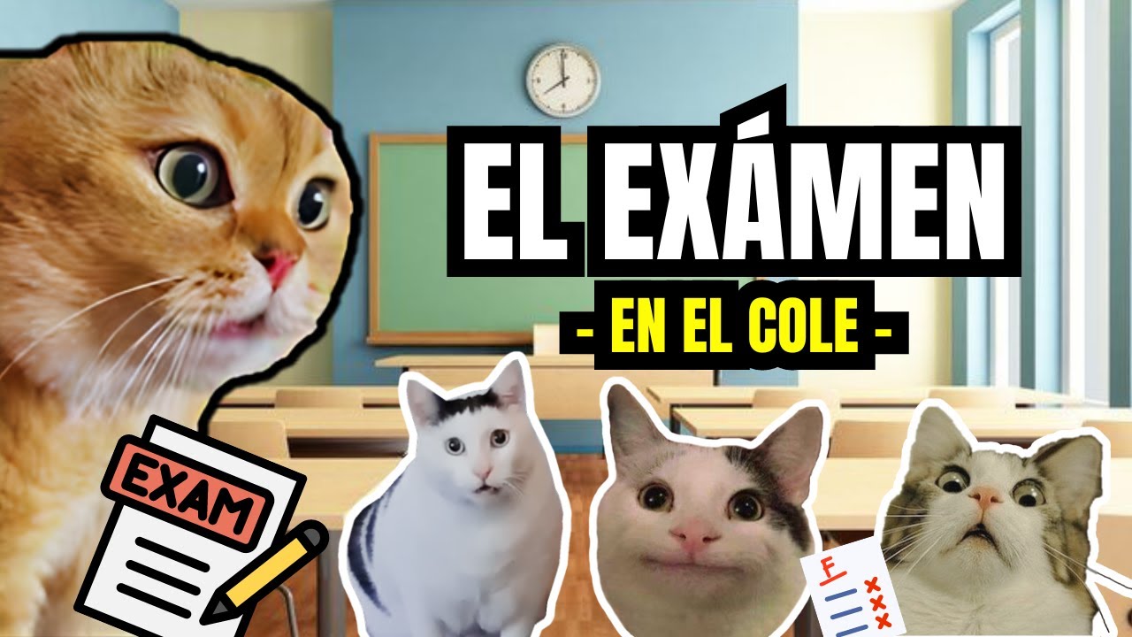 EL EXÁMEN, en el colegio (meme de gatos) - YouTube