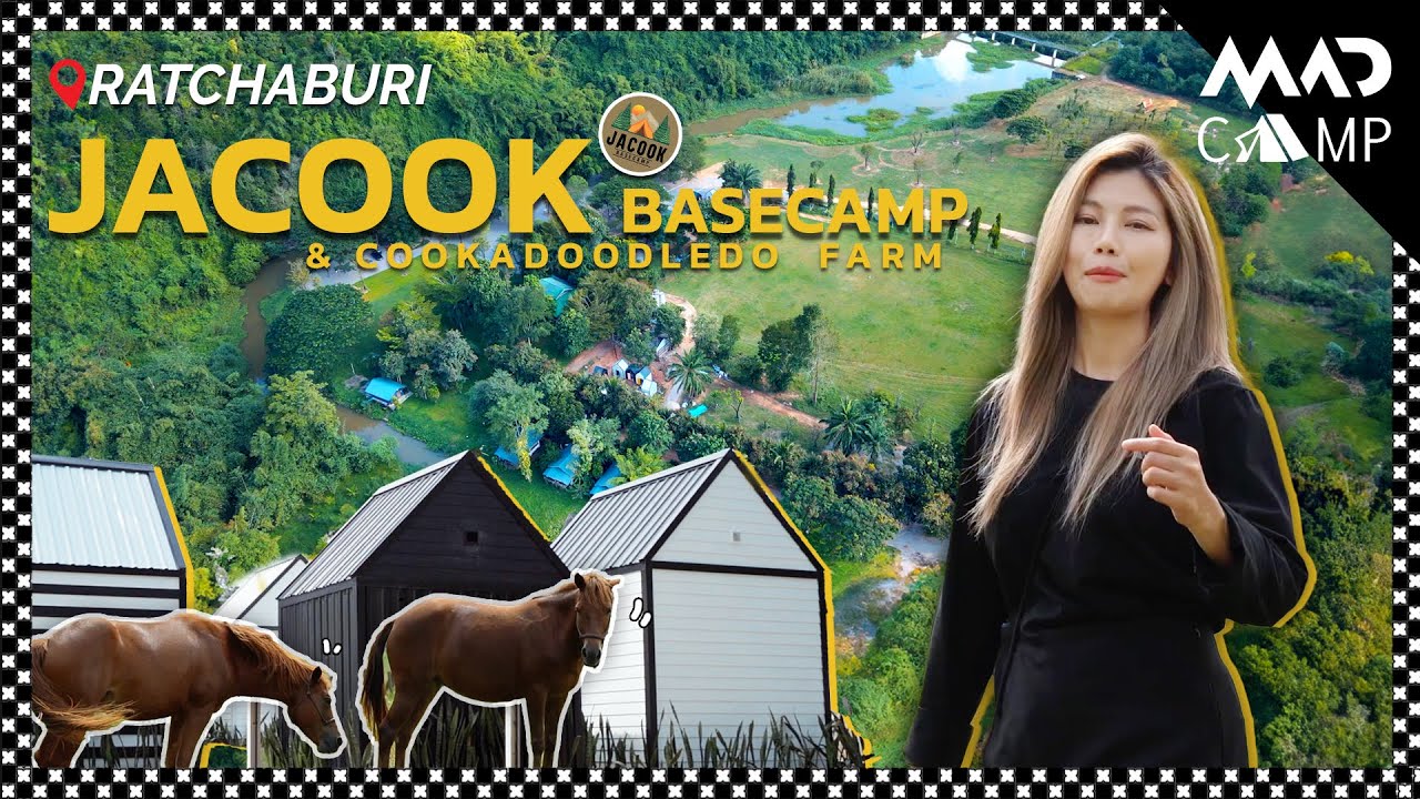 Jacook Basecamp ลานกางเต็นท์สวนผึ้ง ราชบุรี ลานใหญ่พื้นที่ 50 ไร่ ห้องน้ำเกร๋ไม่เหมือนใคร ...