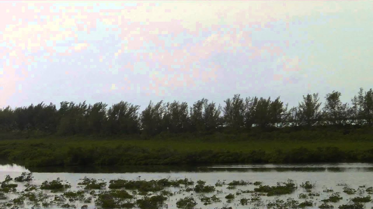 Castaway Cay Bahamas Observation Lookout Tower Disney Cruise - YouTube