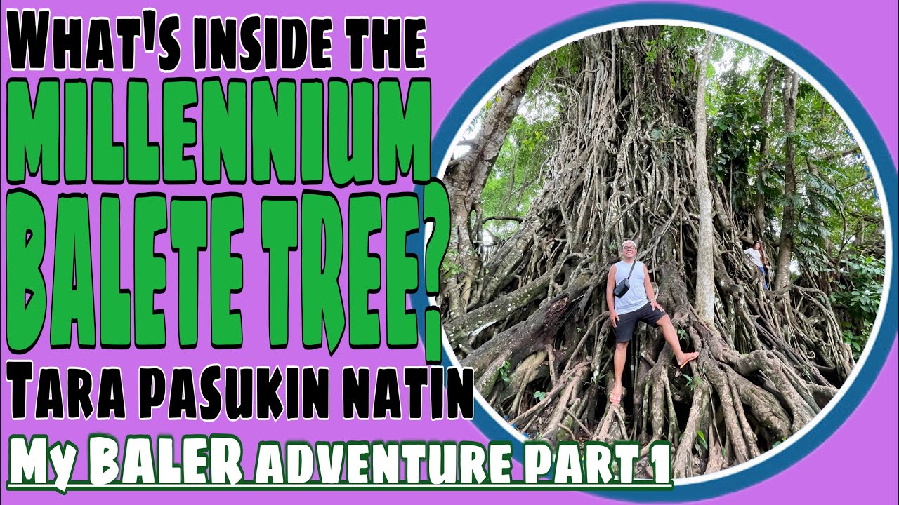 ASIA’S OLDEST TREE | ANG MISTERYO SA LOOB NG BALETE | BALER AURORA ...
