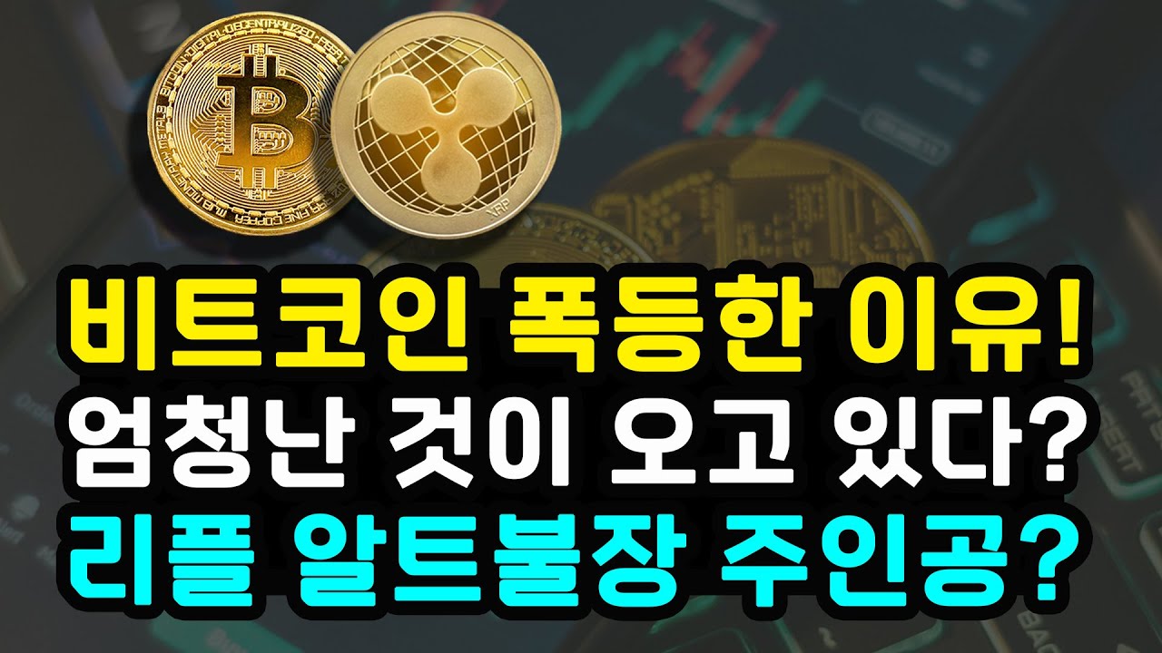 비트코인 폭등 최고가 돌파한 이유 리플 알트코인 대세장 주인공 된다 스테이블코인 Rlusd와 Xrp 관계성 국가 전략적