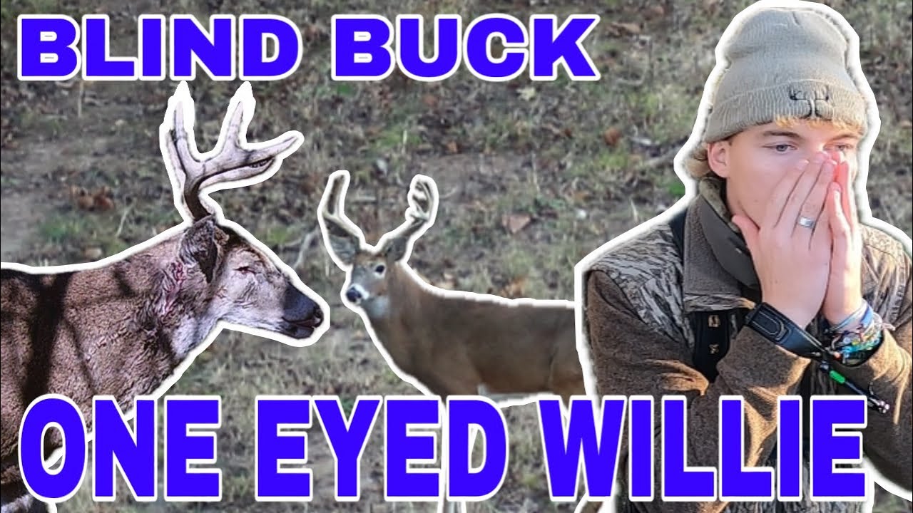 The Hunt for A Blind Buck | One Eyed Willie - YouTube
