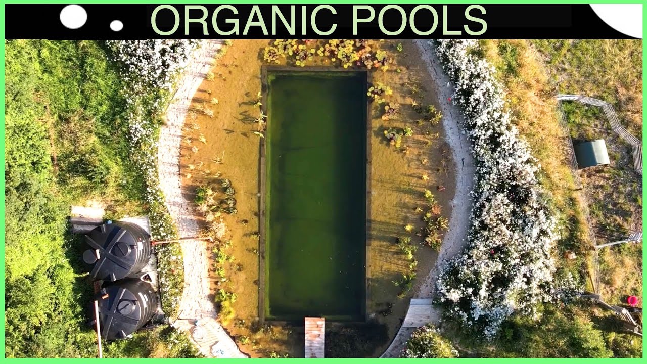 Stunning Off Grid Natural Pool - DIY - step by step - YouTube