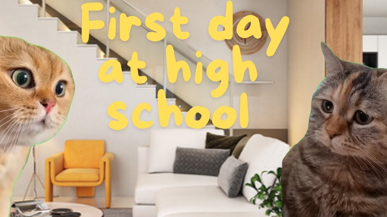 cat memes first day of school - YouTube
