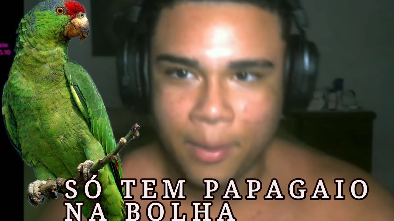WALLACY FALA SOBRE PÚBLICO DA CALVOSFERA - YouTube