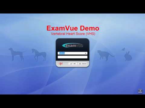 Vertebral Heart Score Tool - YouTube