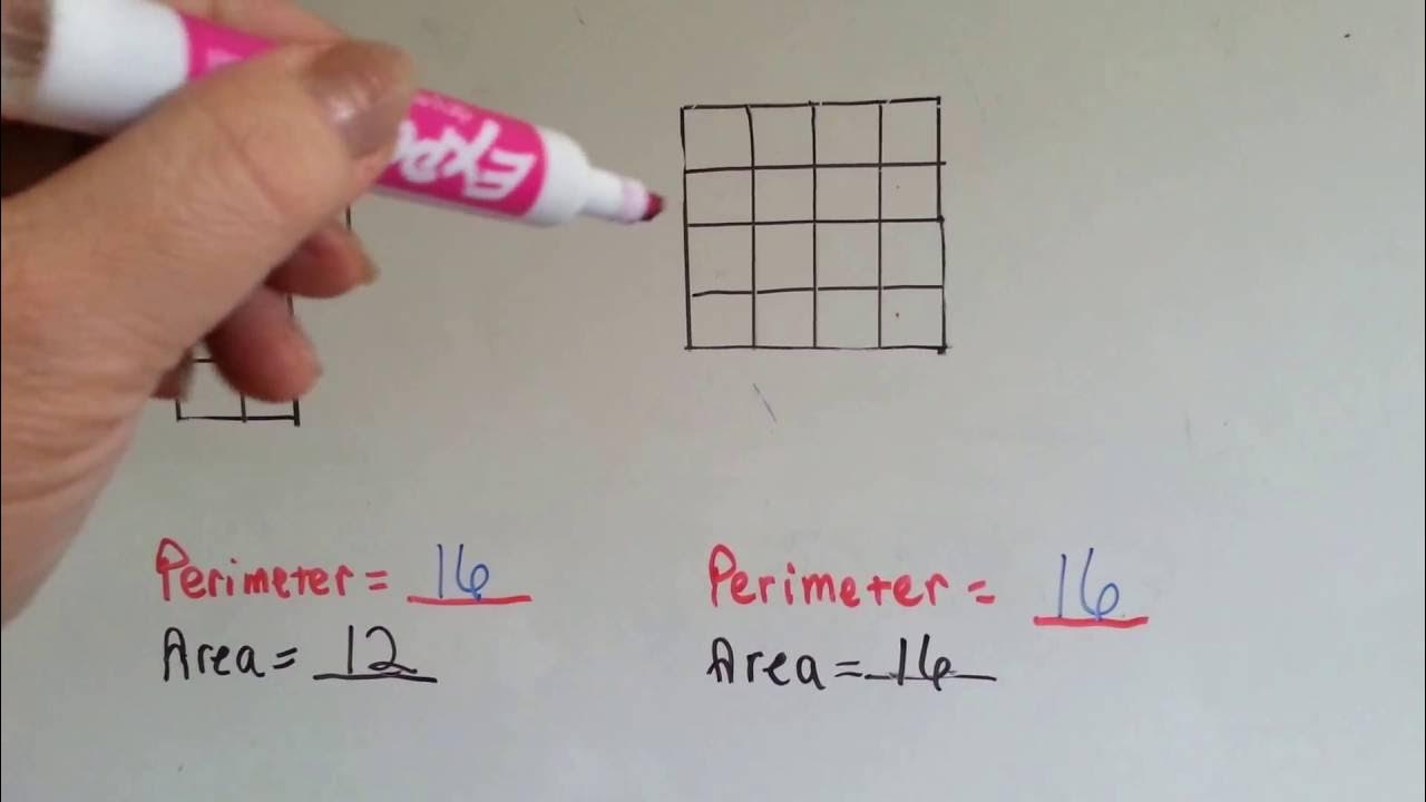 Grade 3 Math #11.9, Same Perimeter Different Area - YouTube