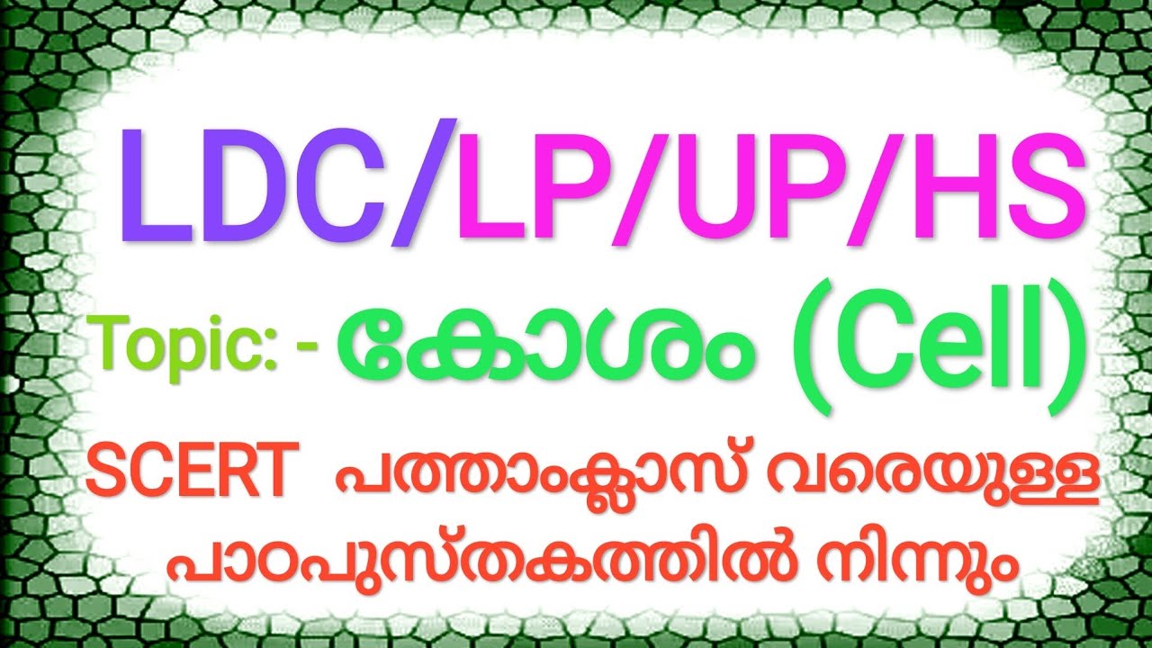 LDC LP UP HS o