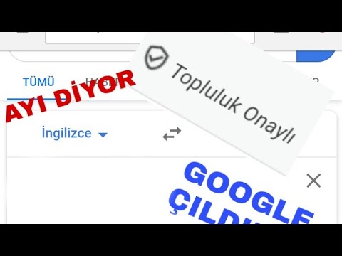 GOOGLE İLE İLGİLİ HİÇ BİLMEDİĞİNİZ GİZEM/EASTER EGGS/AYI DİYOR