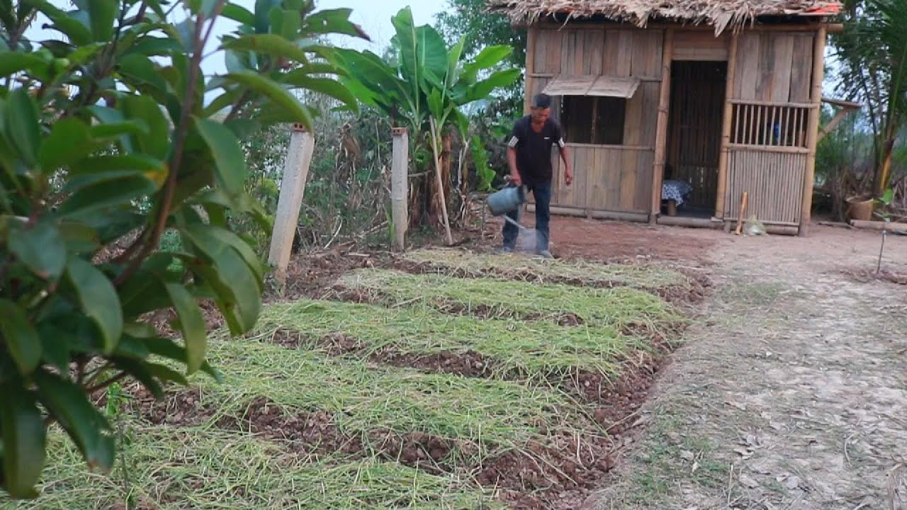 The first steps to building a small farm, planting trees and sowing ...