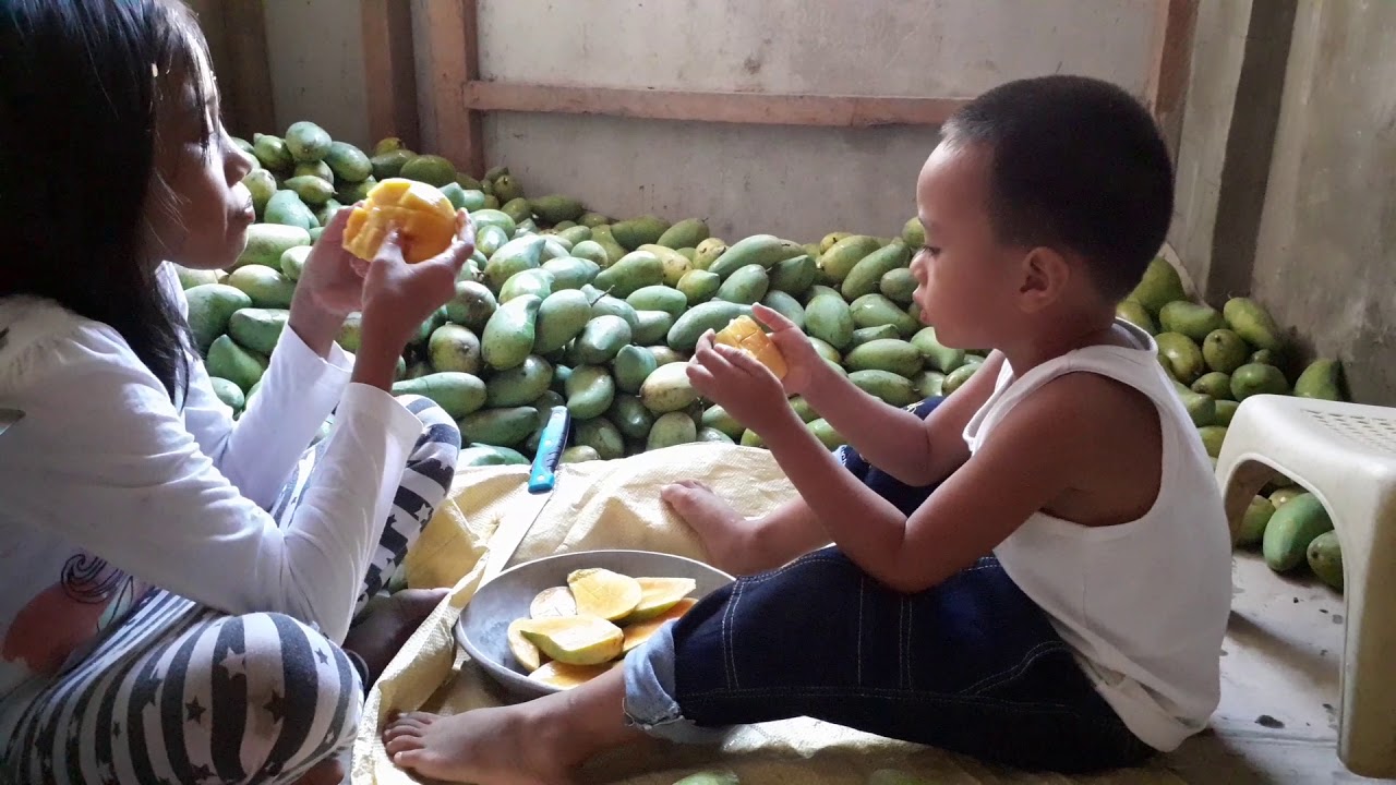 Siblings mango eating challenge - YouTube