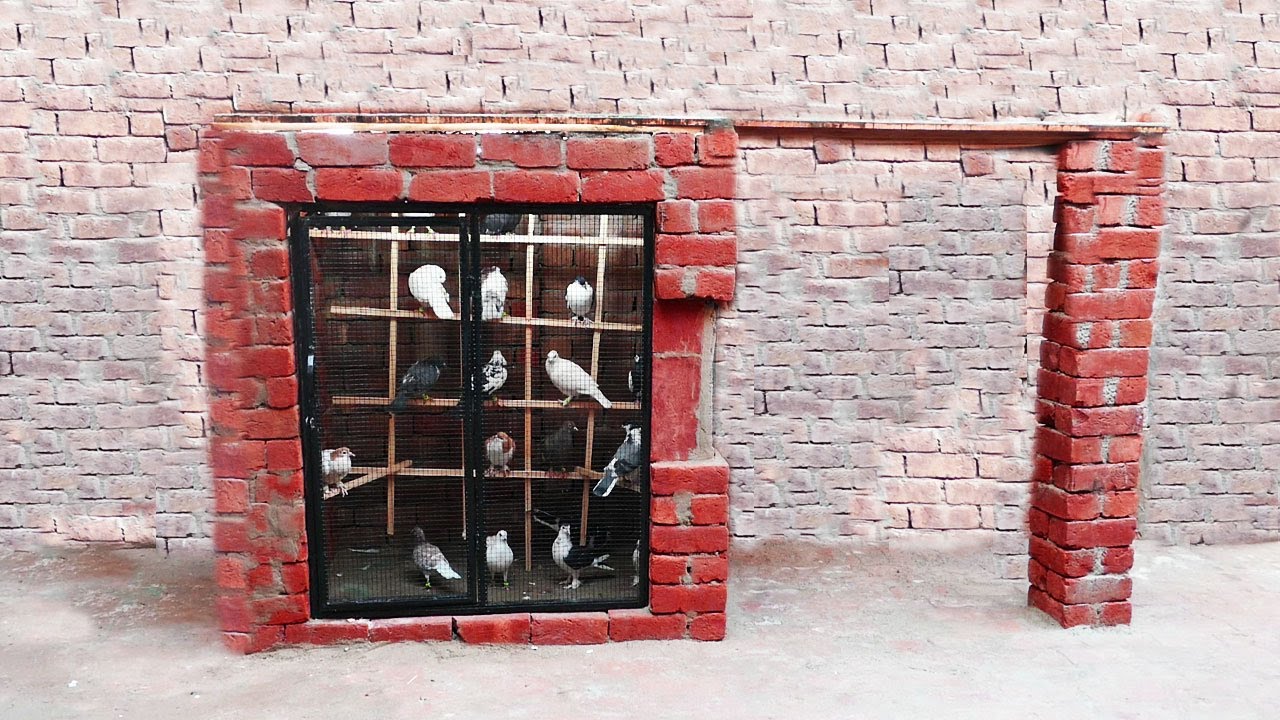 How to build a new technology Pigeon house with a small shed - YouTube