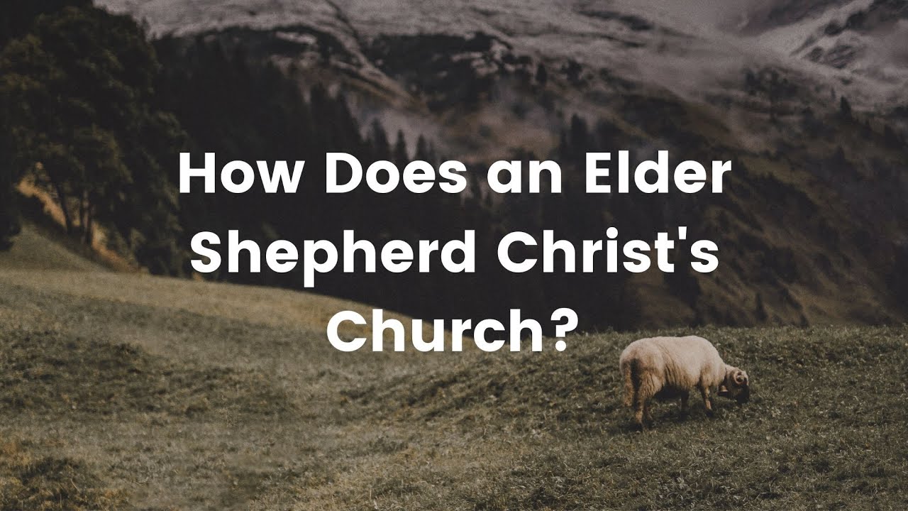 Elders and the Local Church - Part 1- How Does and Elder Shepherd ...