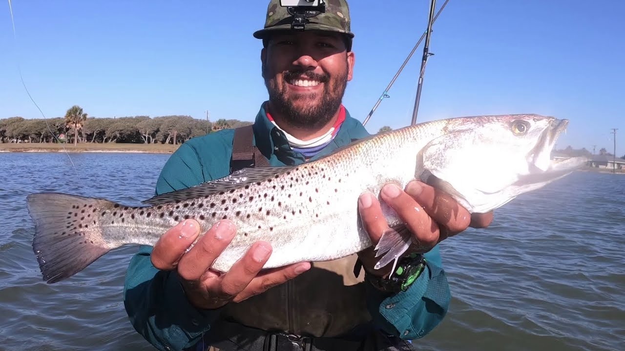 Wade Fishing Rockport Texas - Little Bay and Swan Lake were 🔥 - YouTube