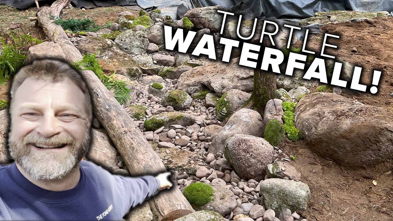 Building a Waterfall For Turtles?! - YouTube