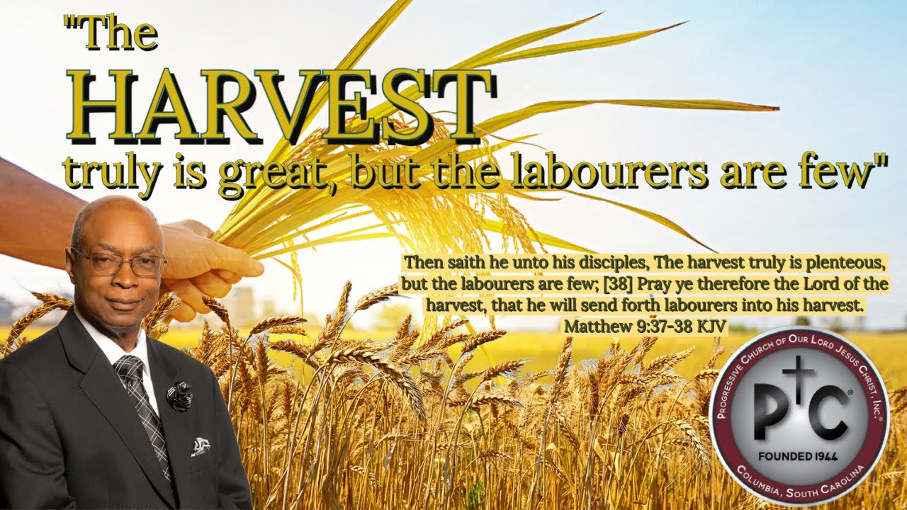 The harvest truly is great, but the labourers are few - YouTube