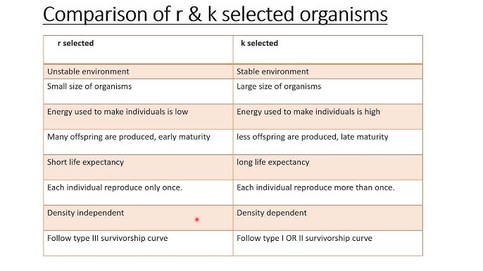 R Strategist Examples