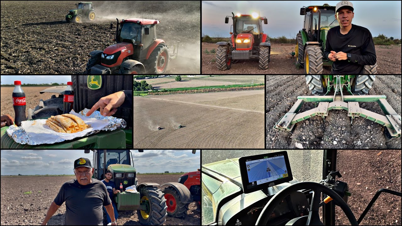 DE GALLO A GRILLO ASI ES COMO TRABAJAMOS TODO EL DÍA SUBSUELIANDO Y ASI ...