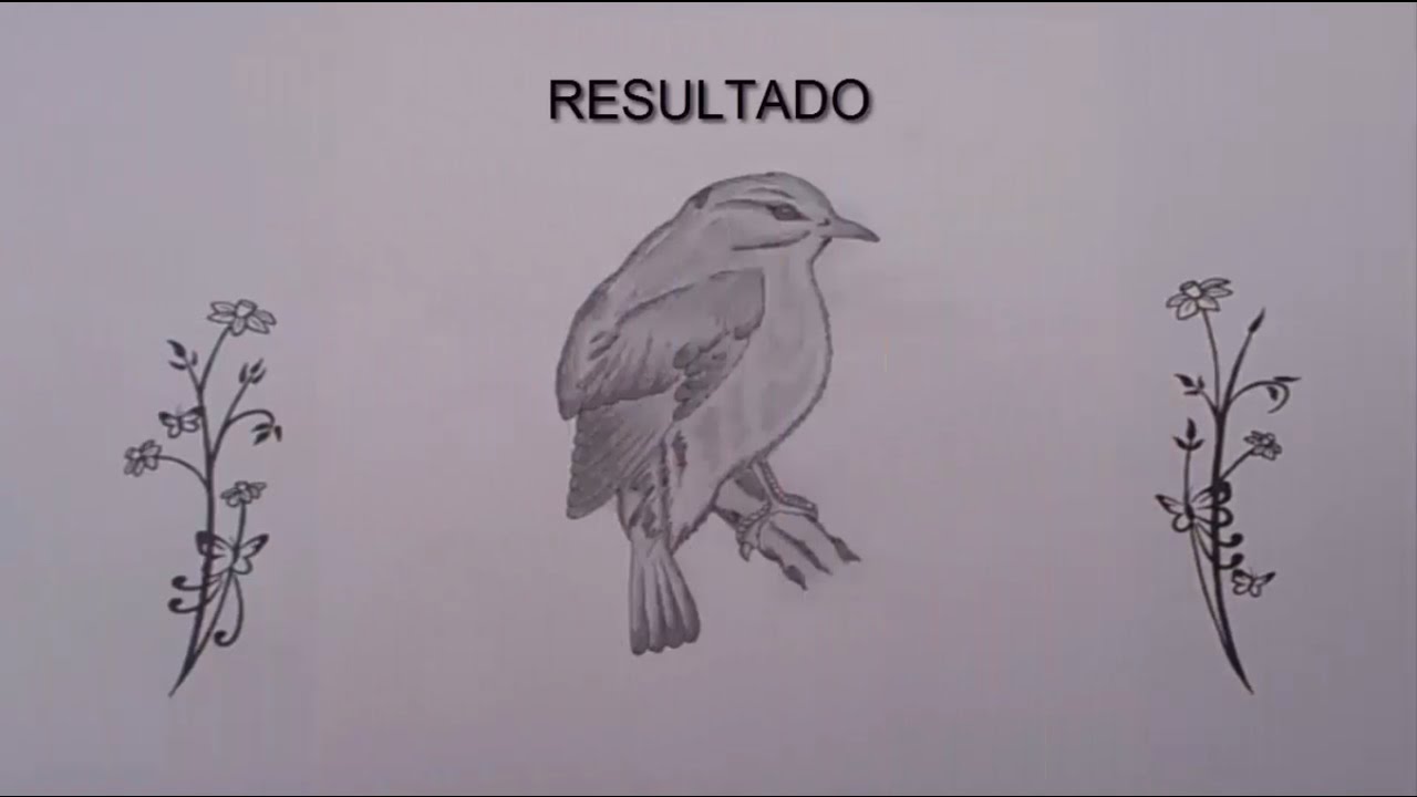 Como dibujar un pajaro | How to draw a bird - YouTube