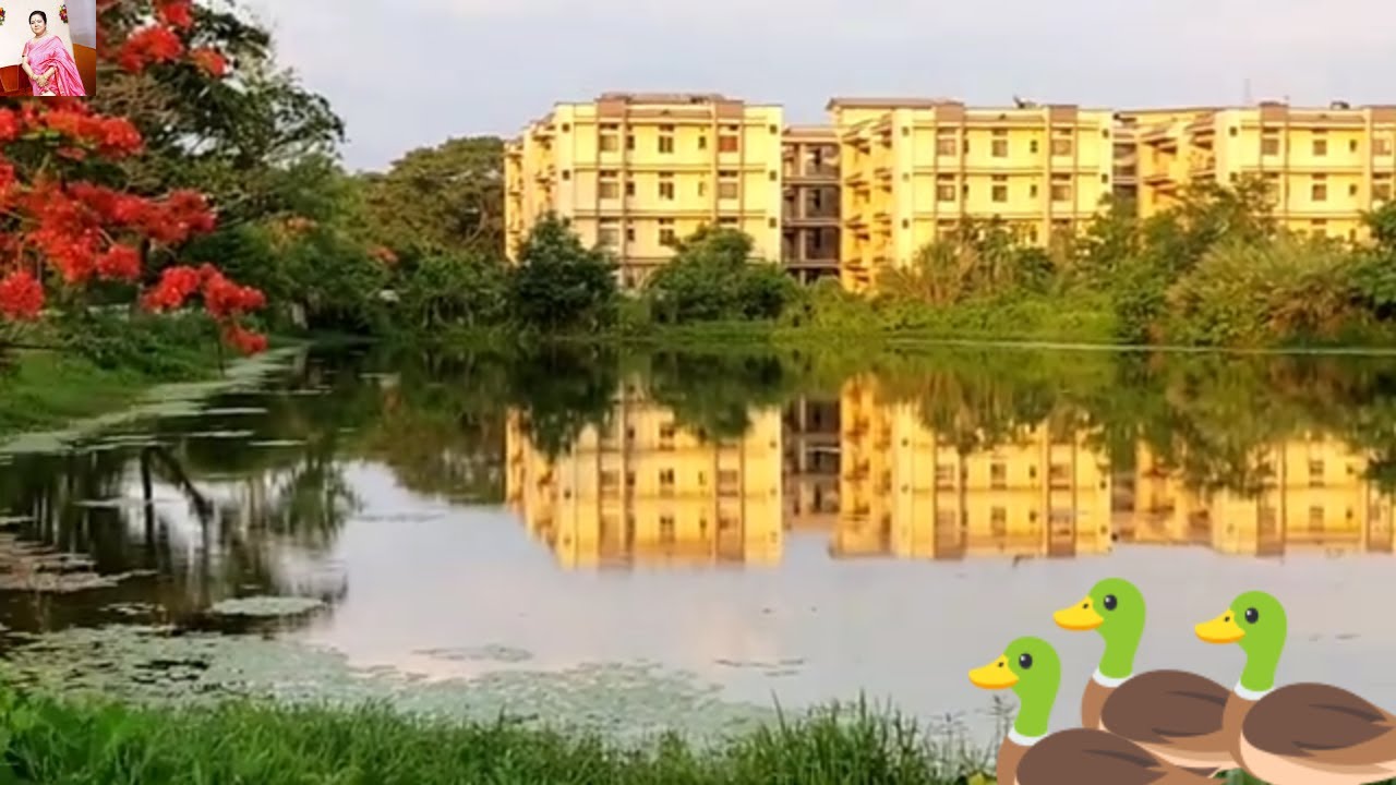 Beautiful photos & videos lovely building - YouTube