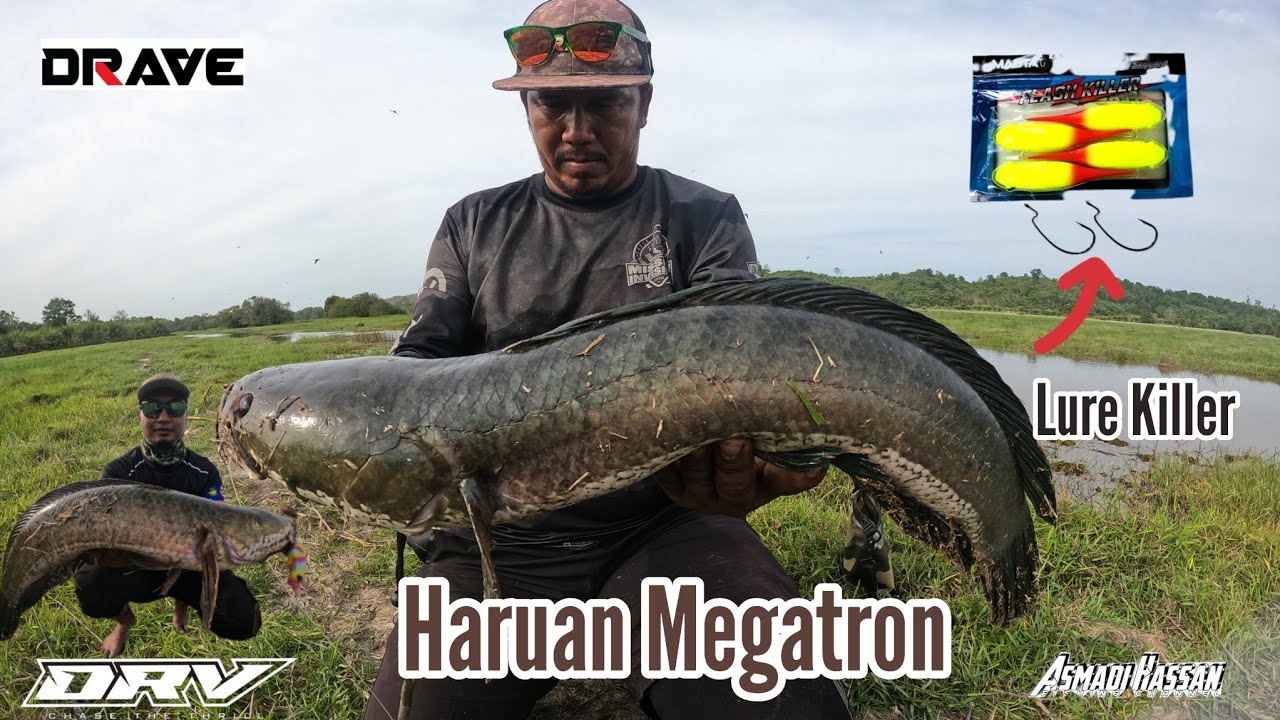 Haruan Megatron - YouTube