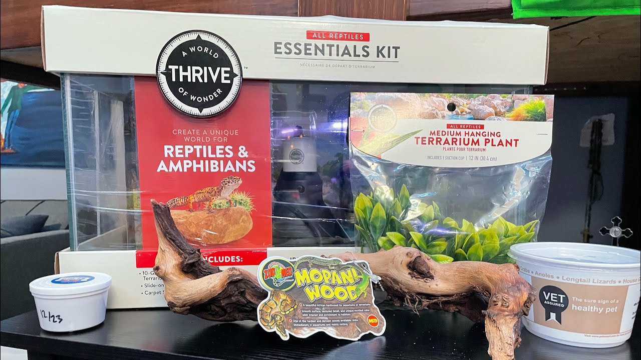 BUYING A LEOPARD GECKO!!!(Larry the Leopard) - YouTube