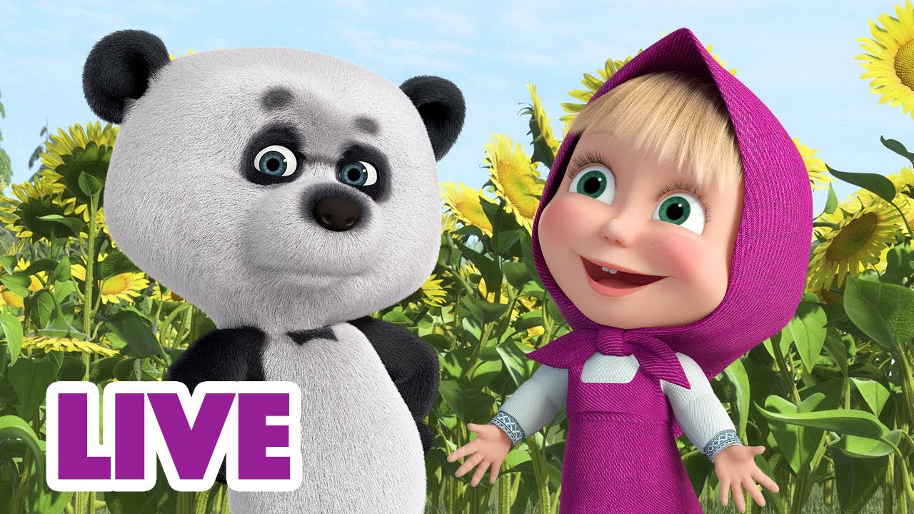 🔴 EN VIVO Masha y el Oso Castellano 🔎 Encuentra un amigo 🤝 Masha and the Bear - YouTube