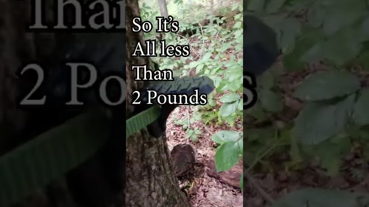 Brand New Ring of Steps for Saddle Hunting 2022- The Apex Step - YouTube