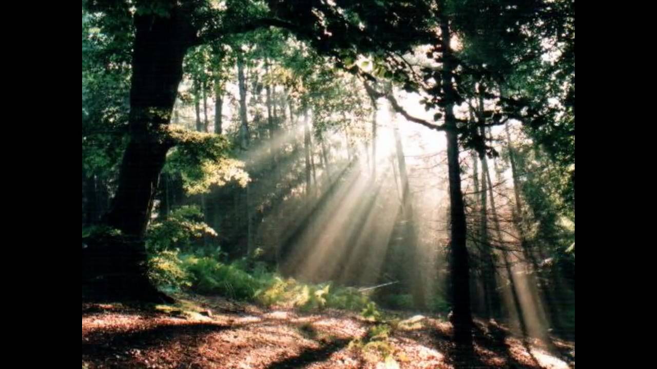 Simon Wawer - Ave Maria (Rhein Cantabile, Düsseldorf) Live - YouTube