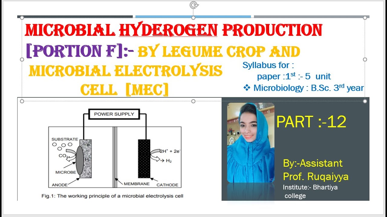 microbial hydrogen production F PORTION:- BY LEGUME CROPS AND MEC - YouTube